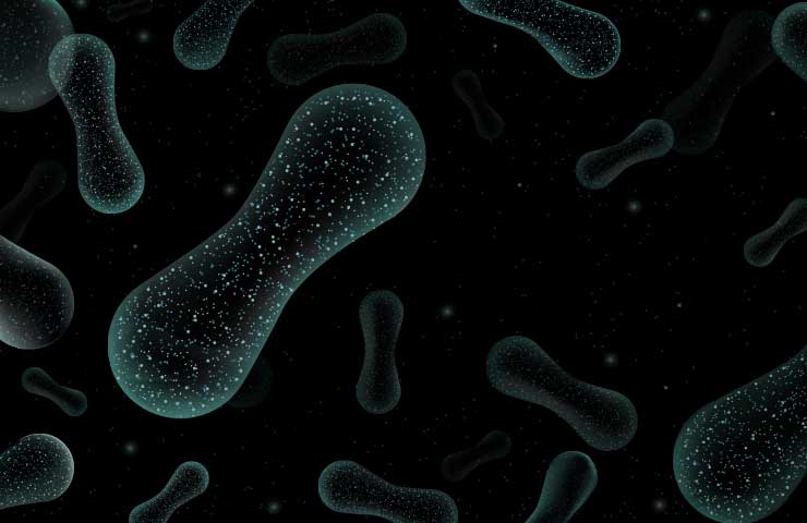 What Are the Health Benefits of Probiotics? - Ask Dr. Lara
